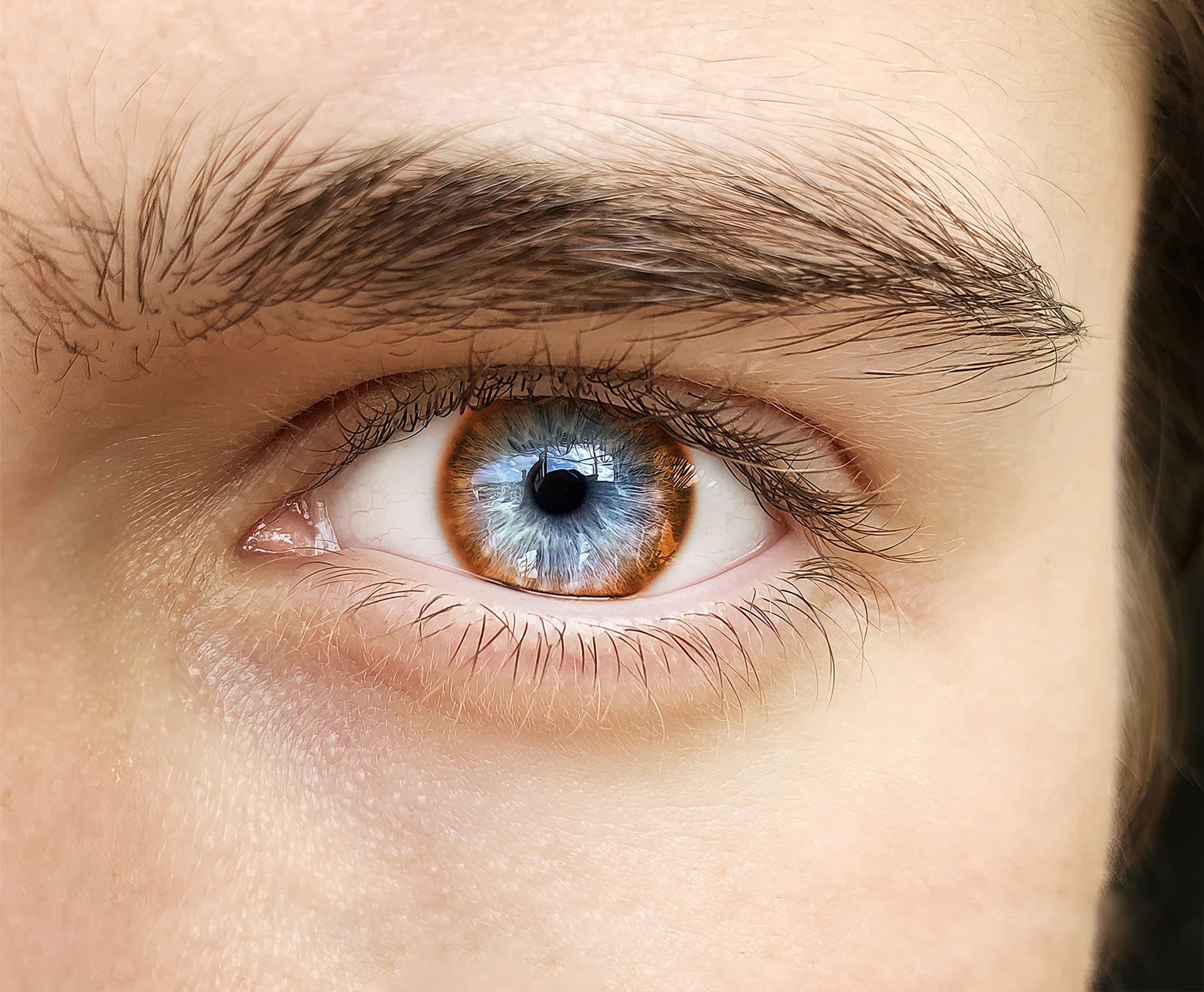 Our Presence - Orphalan SA